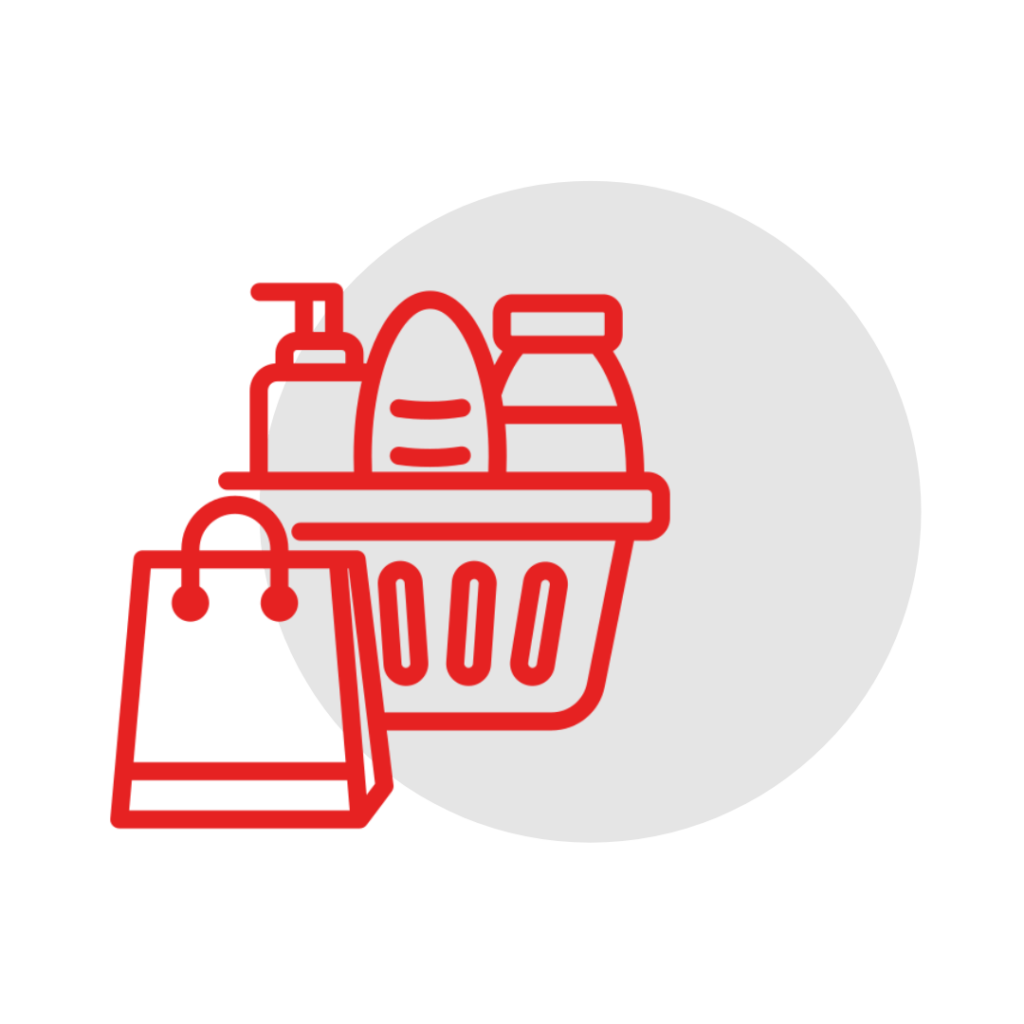 Home - Mega Fortris Security Bags